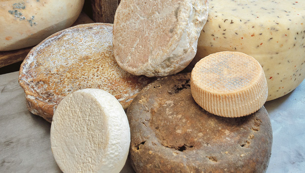 Guida alle eccellenze enogastronomiche del Torinese - Maestri del Gusto