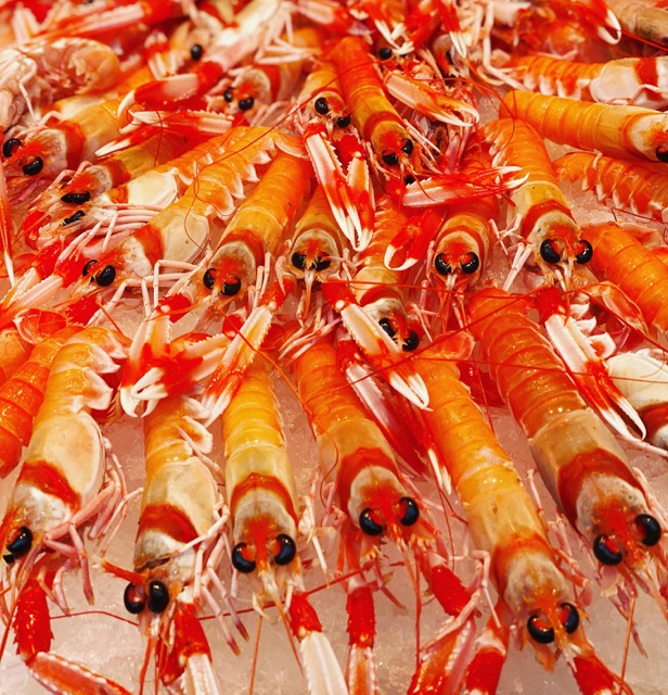 Gallina - Pescherie in Torino - Guida alle eccellenze enogastronomiche ...